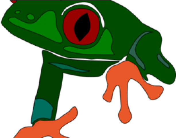 Download Red Eyed Tree Frog Clipart Transparent - Frog Clip Art PNG ...