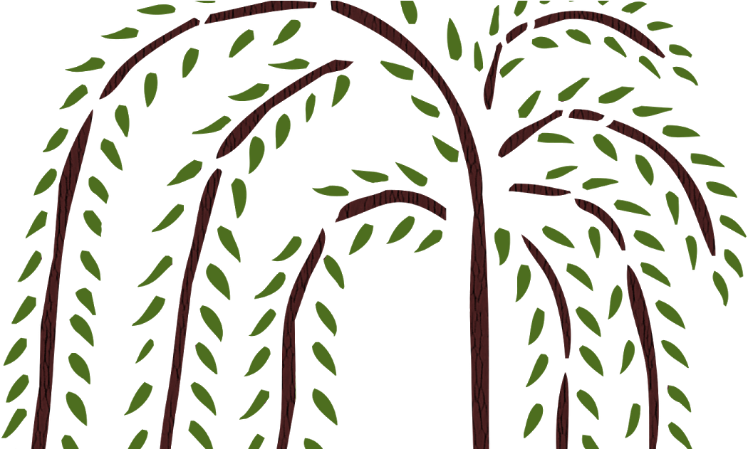 Weeping Drawing Trees - Drawing Weeping Willow Clip Art - Free ...