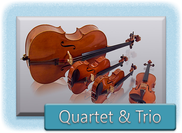 Download For The Arioso Strings Ensemble You Are Using - String Quartet ...