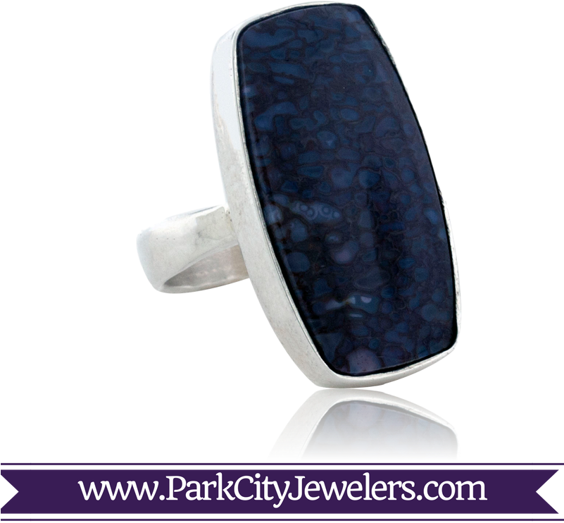 Download Dinosaur Bone Ring - Titanium Ring PNG Image with No ...