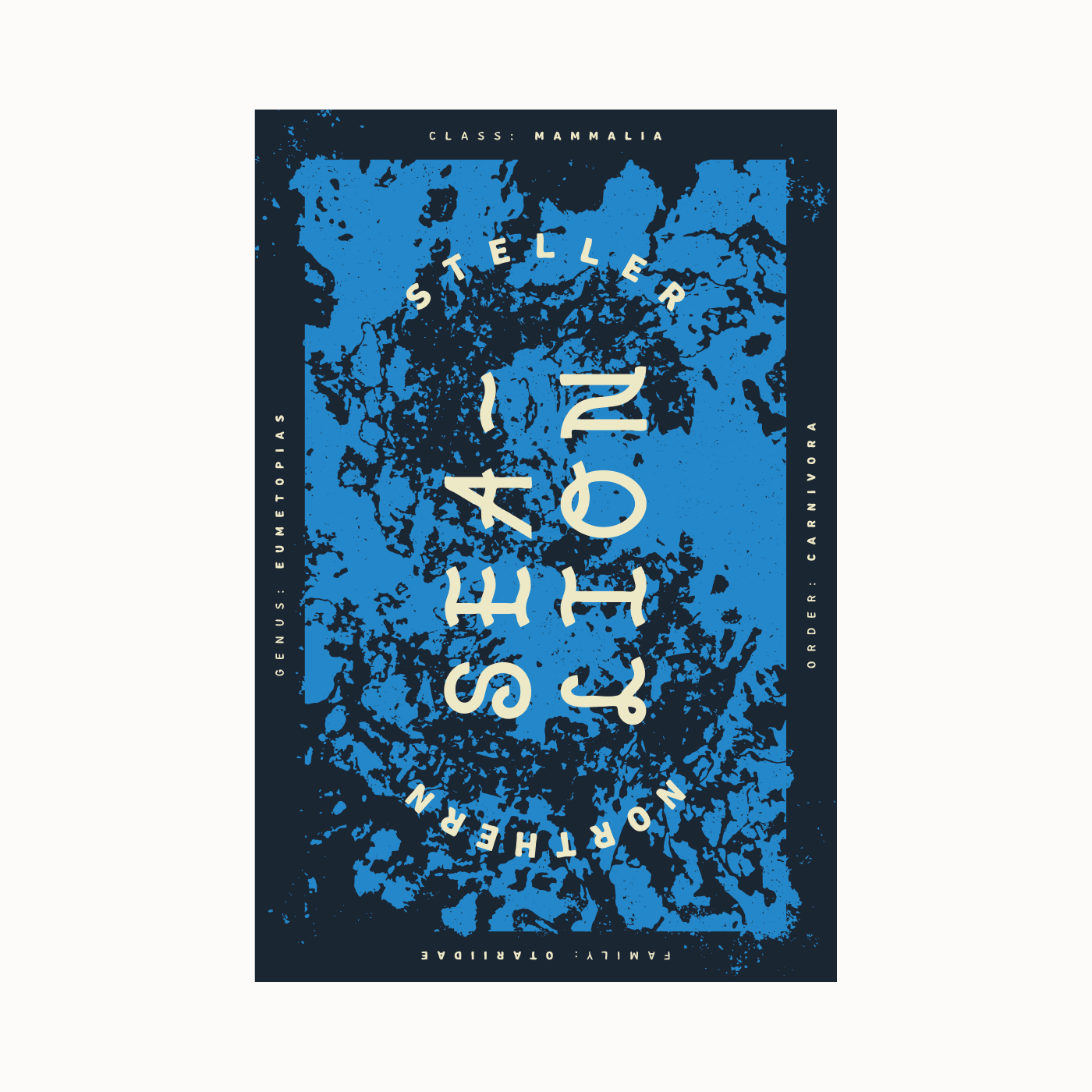 Download Steller Sea Lion PNG Image with No Background - PNGkey.com