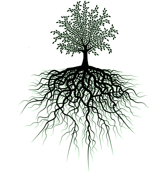 Download 553 X 581 12 - Transparent Tree Of Life PNG Image with No ...