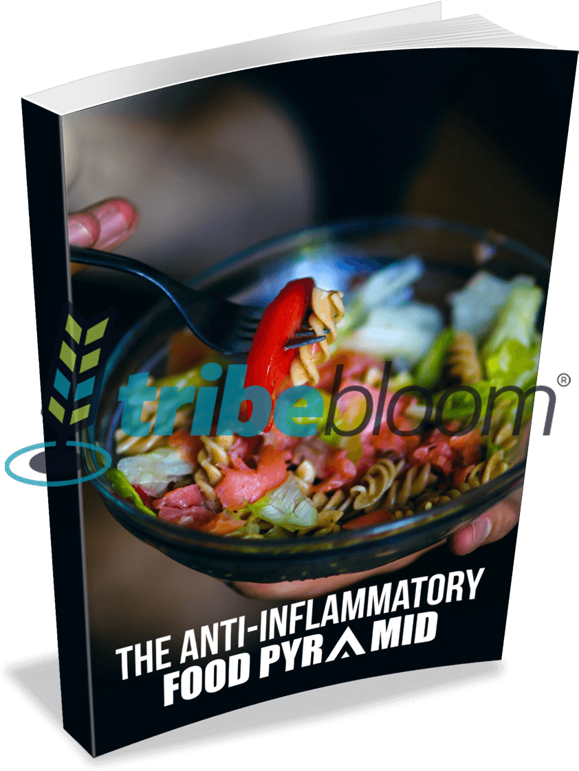 Download Anti-inflammatory Food Pyramid Report - Dieting PNG Image with ...