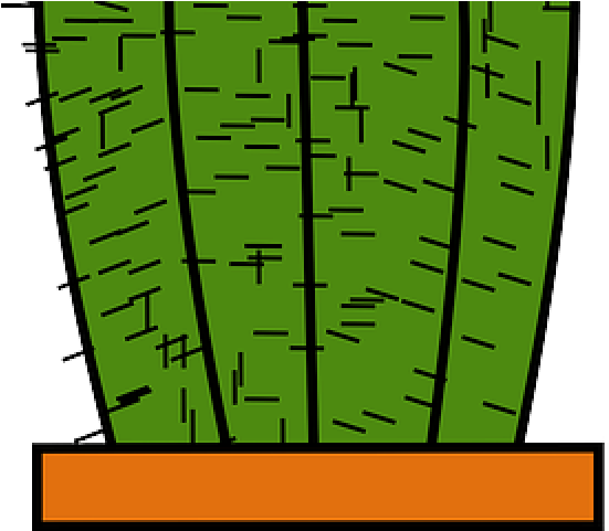 Plant Clipart Cacti - Clip Art - Free Transparent PNG Download - PNGkey