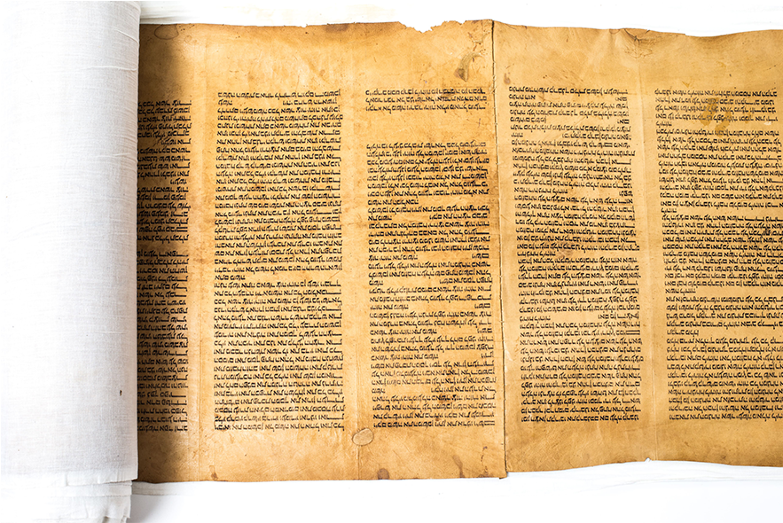 Download A Torah Made Of Gazelle Skin - Vellum PNG Image with No ...