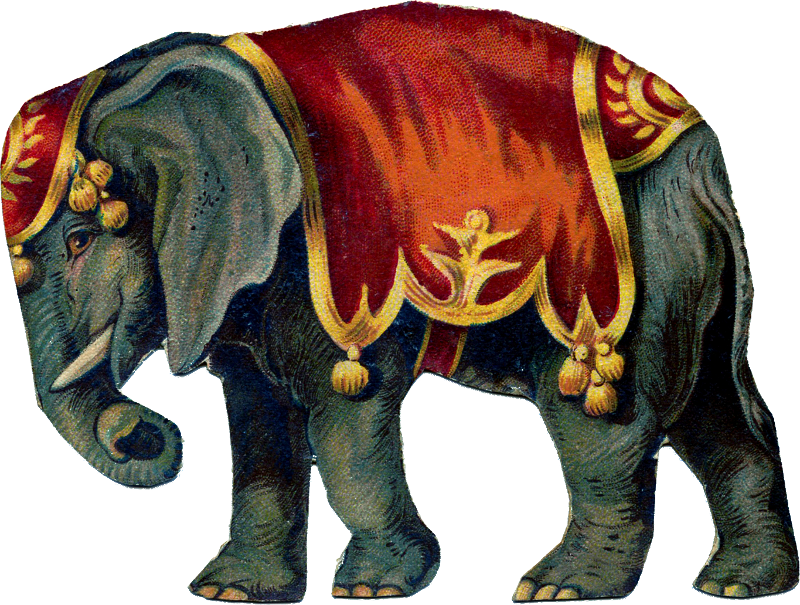 Download Zibi Vintage Scrap - Circus Elephant On Ball PNG Image with No ...