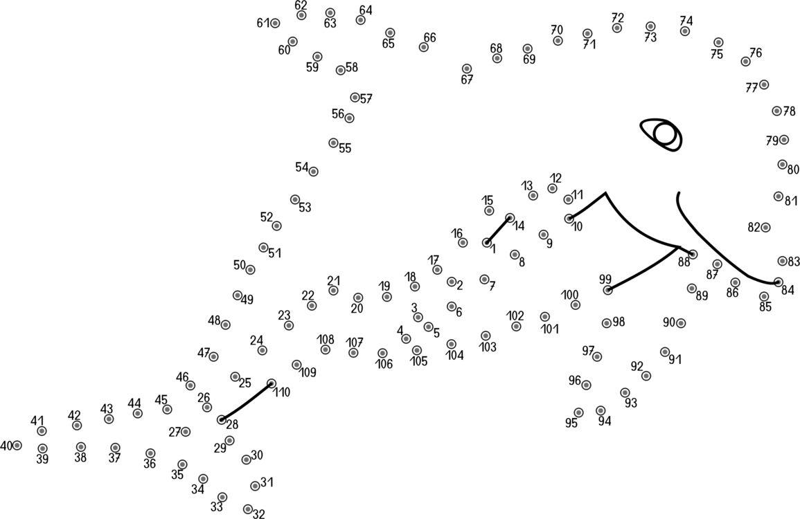 Download Connect The Dots Coloring Book Drawing Puzzle Dolphin - Dot To ...