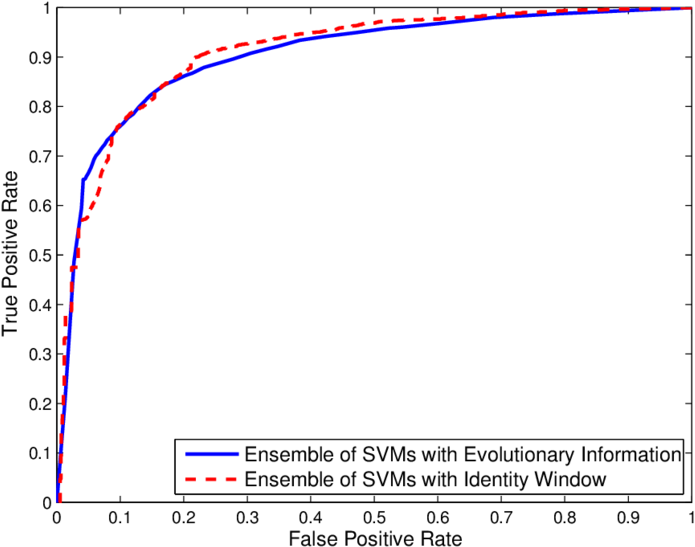 Download Roc Curves For The Ensemble Of Support Vector Machine ...