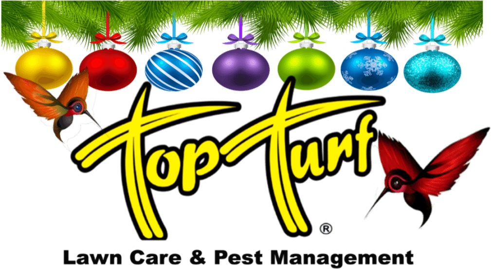 Download Top Turf PNG Image with No Background - PNGkey.com