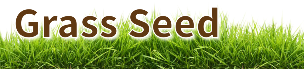 Download Grass Seed Header-02 PNG Image with No Background - PNGkey.com