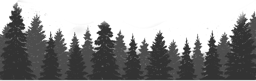 Trees - Forest Trees Black Png - Free Transparent PNG Download - PNGkey