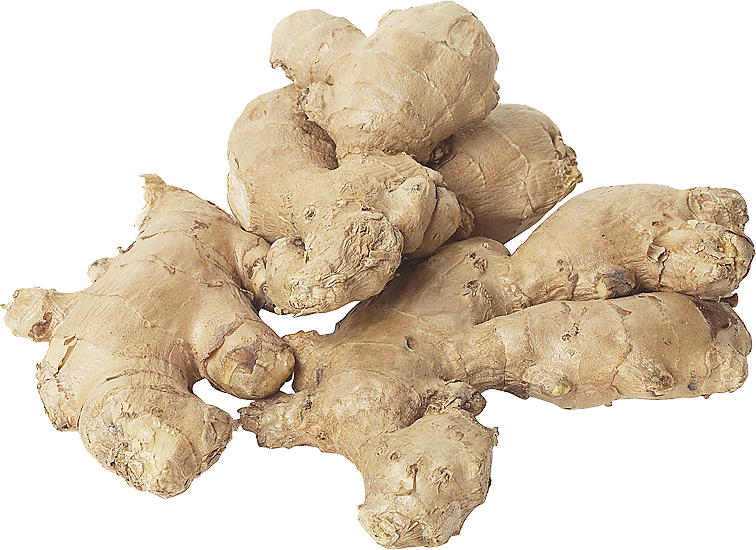 Download Dry Rot Of Ginger PNG Image with No Background - PNGkey.com