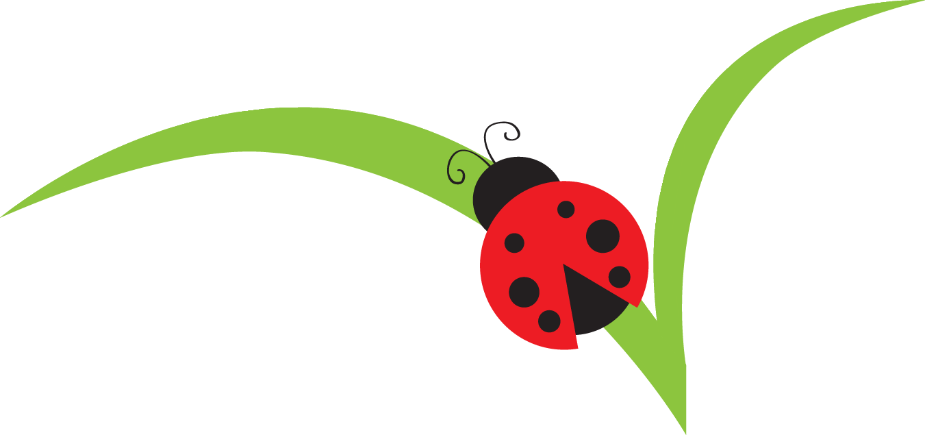 Download Unlimited Commercial Use - Ladybug On A Leaf Clip Art PNG ...