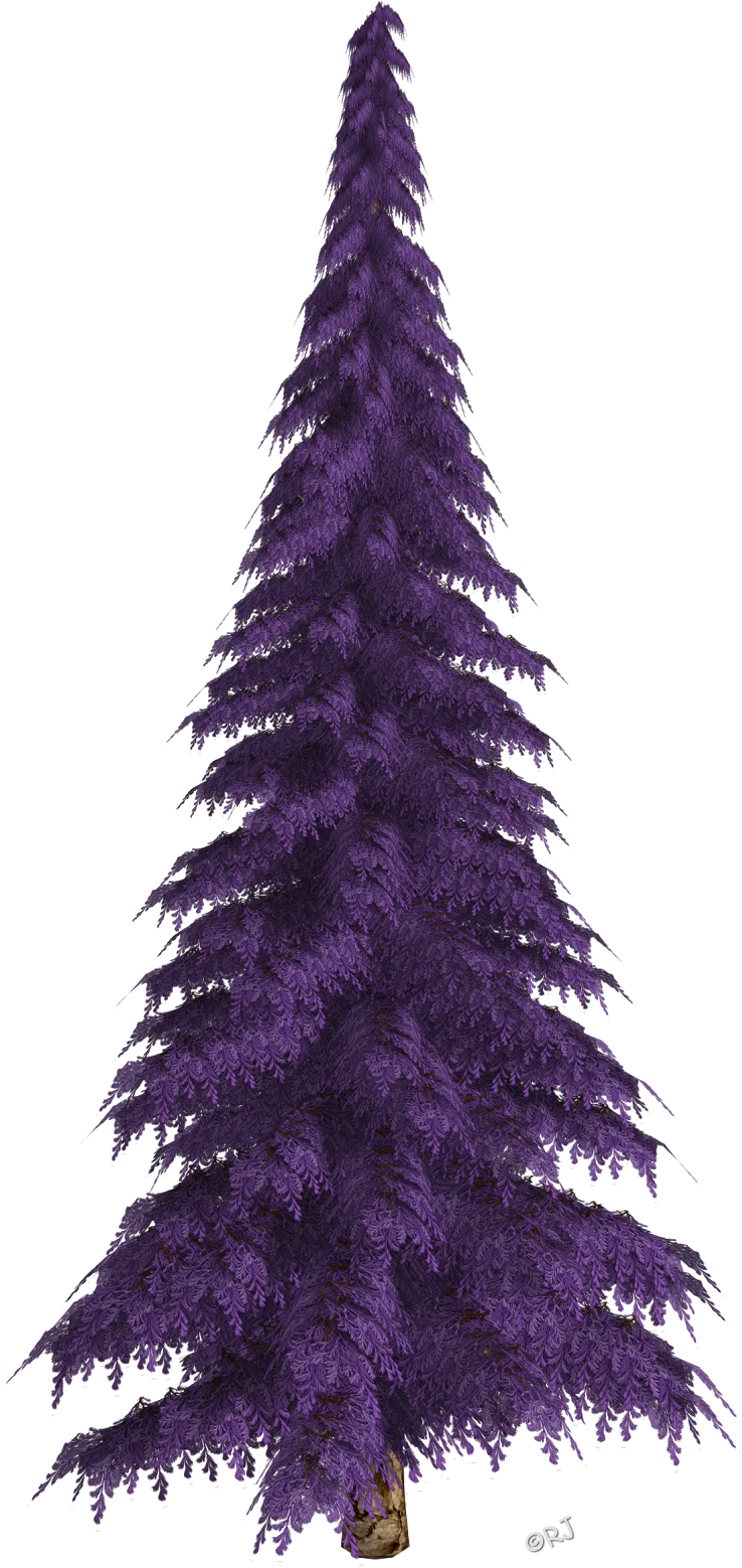 Download Winter Trees & Christmas Trees - Christmas Tree PNG Image with ...