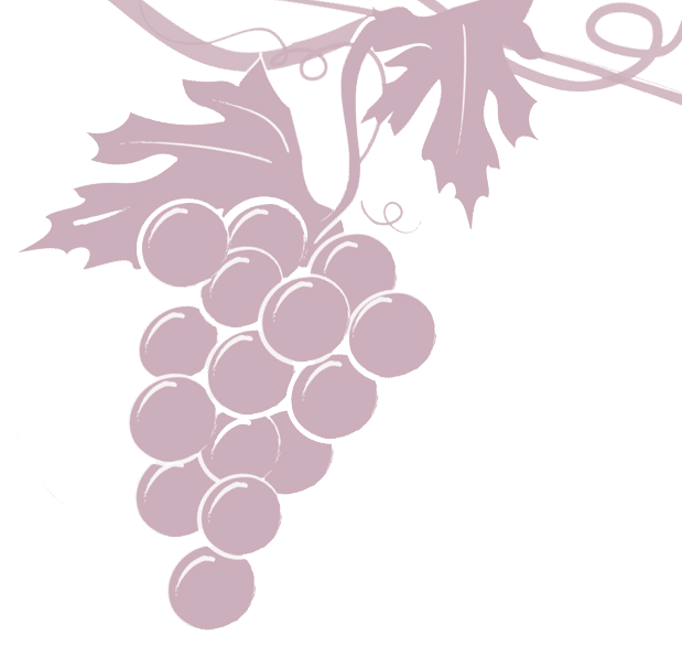 Download Grapevine-transparent - Illustration PNG Image with No ...