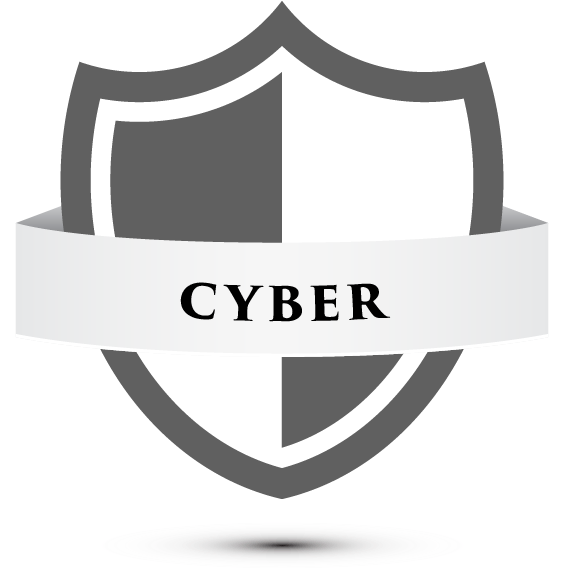 Download Cyber Insurance - Emblem PNG Image with No Background - PNGkey.com