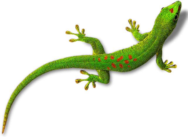 Leopard Gecko Clipart Butiki - Transparent Background Gecko Transparent ...