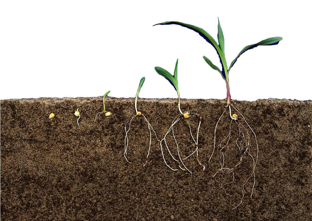 Download Soil Transparent - Earth Soil Png PNG Image with No Background ...