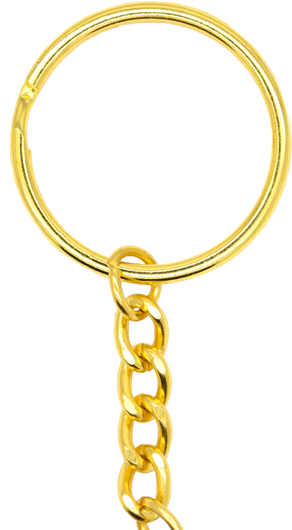 Download Keychain - Chain PNG Image with No Background - PNGkey.com