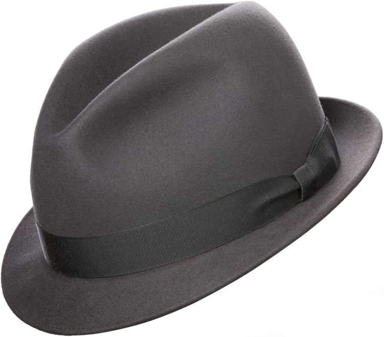 Download The Name Says It All - Fedora PNG Image with No Background ...