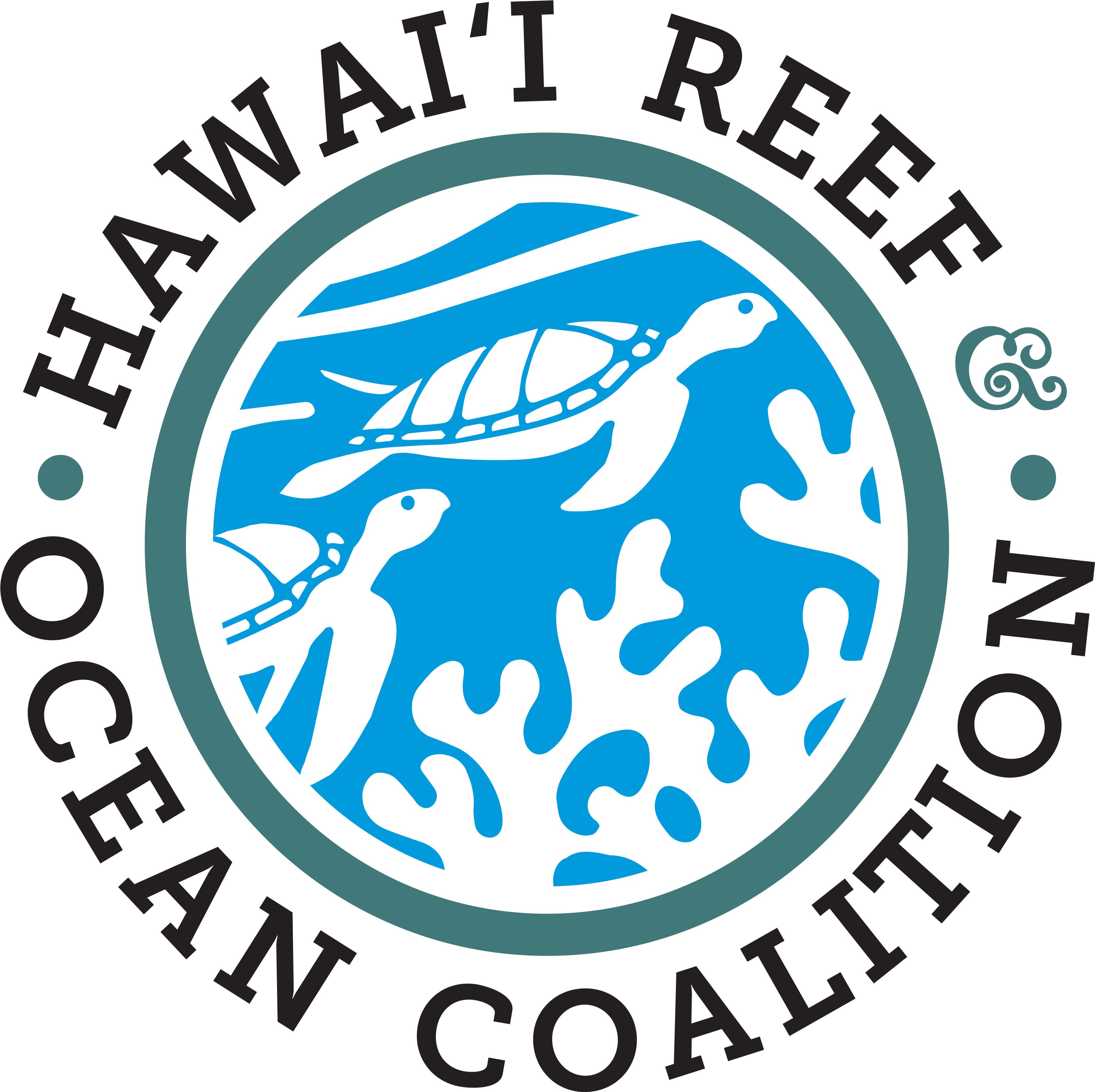 Download Hiroc - Emblem PNG Image with No Background - PNGkey.com