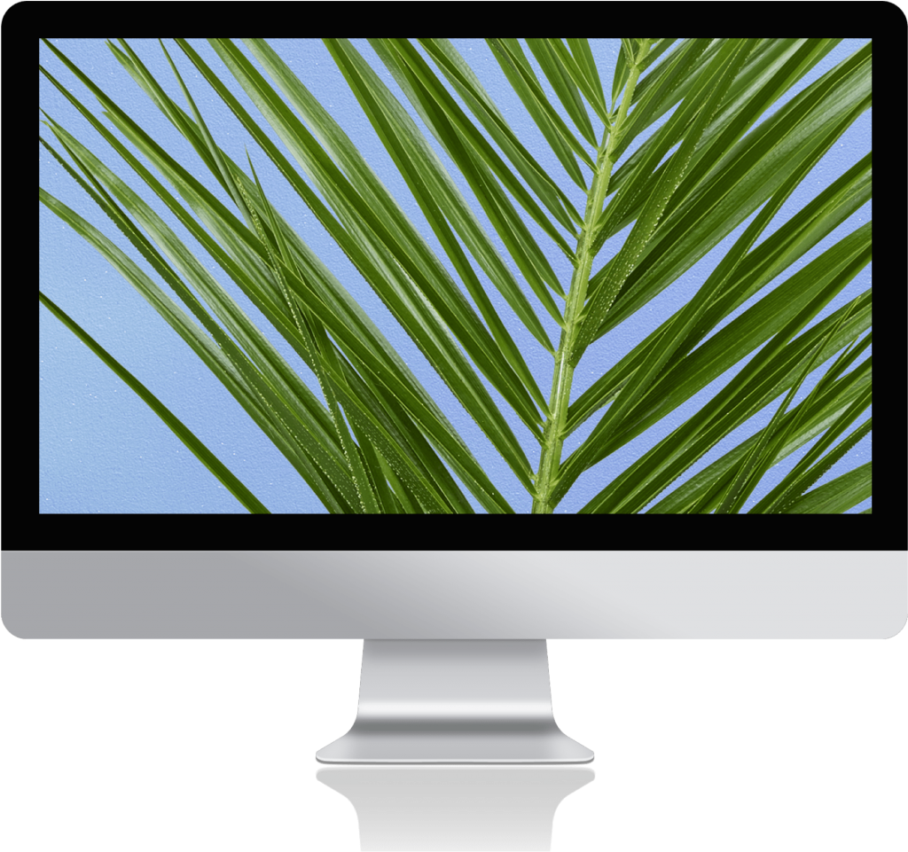 Download Thanks To Wavy, Attract New Clients In Your Hair Salon ...