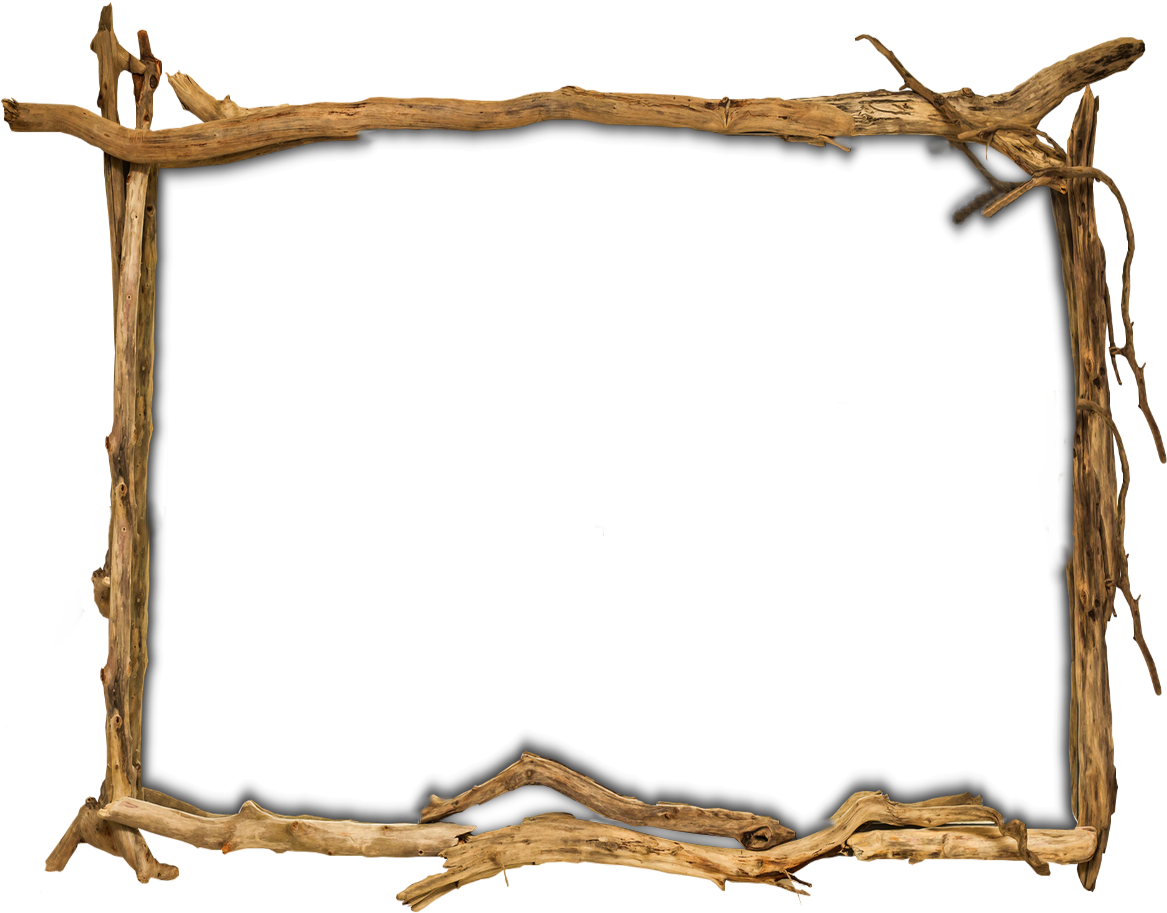 Cadre Bois Flotté - Tree Branch Frame Png - Free Transparent PNG ...