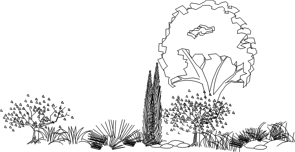 Tree - Sketch - Free Transparent PNG Download - PNGkey