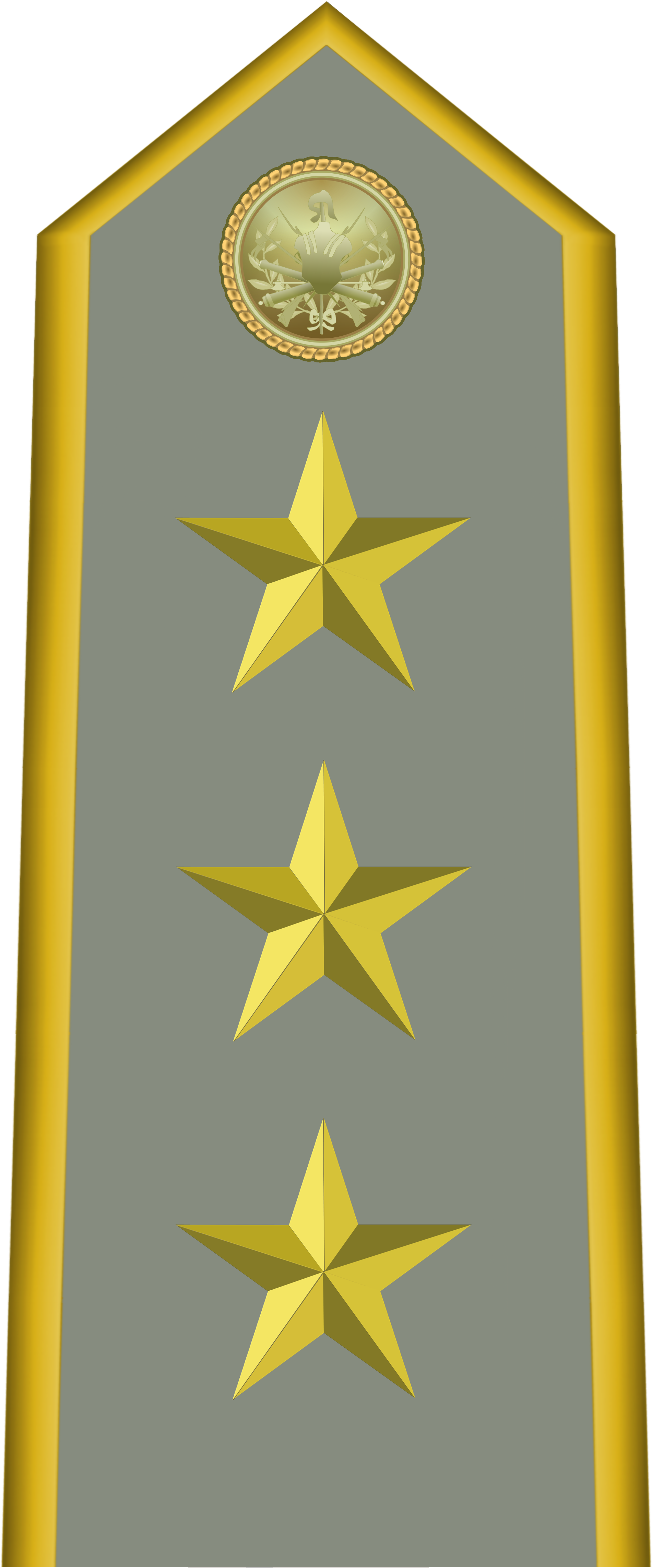 Rank Insignia Of Colonnello Of The Italian Army - Capitão Do Exército ...