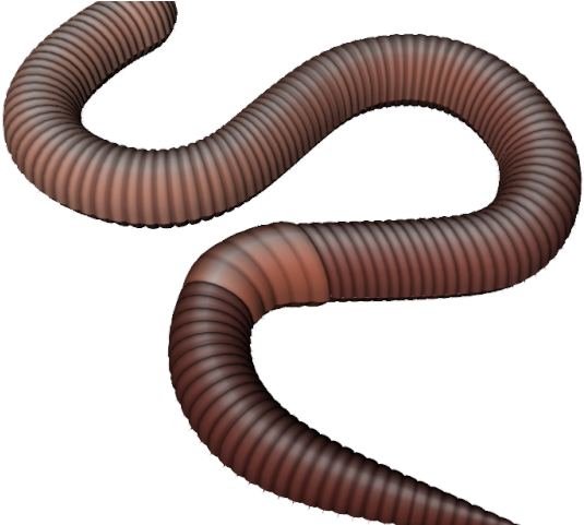 Worms Png Transparent Images - Earth Worms Png - Free Transparent PNG ...