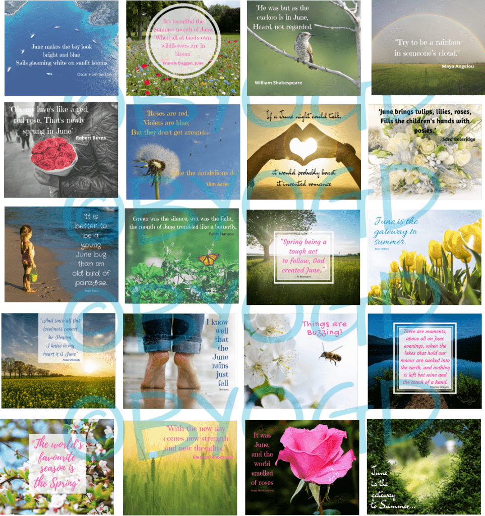 Download June Social Media Quotes Memes - Flyer PNG Image with No ...