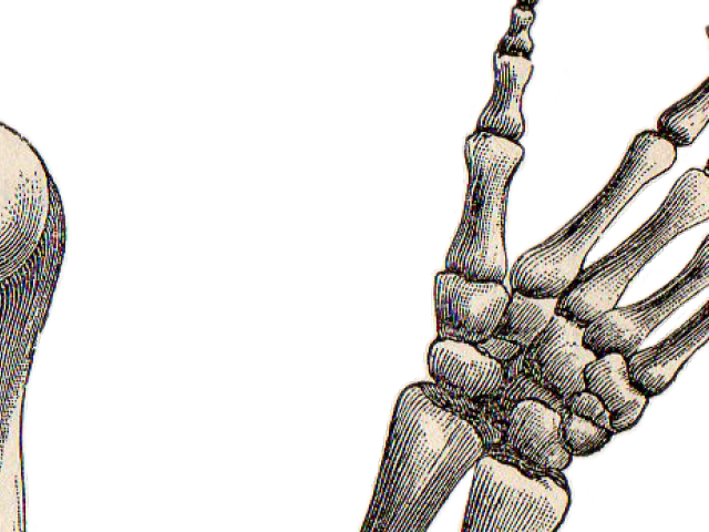 Drawn Hand Gesture Skeleton Hand - Easy Skeleton Arms Drawing - Free ...