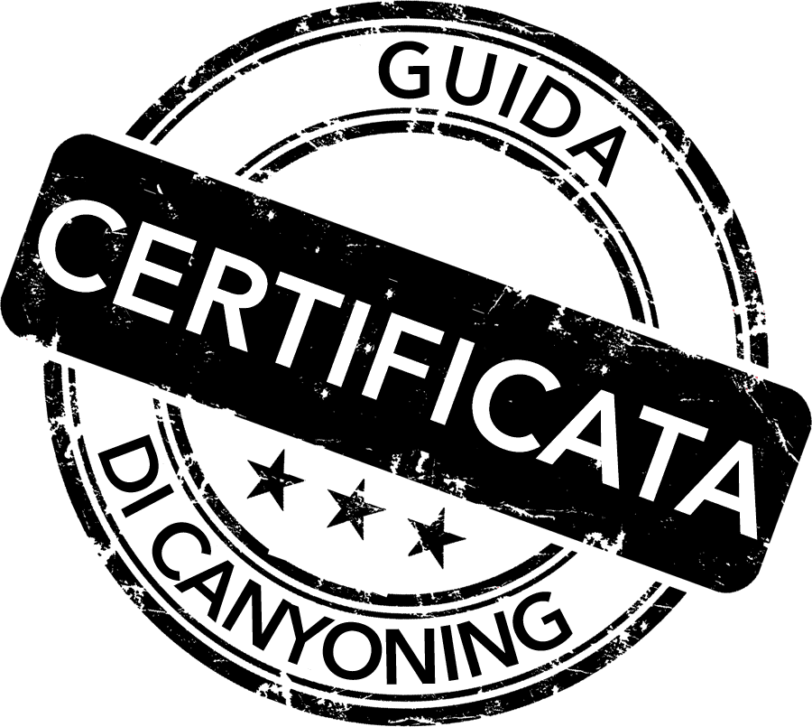 Qualification - Emblem - Free Transparent PNG Download - PNGkey