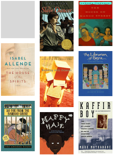 Download Banned And Challenged Books - Kaffir Boy - Class Set PNG Image ...