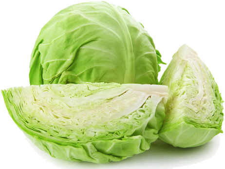 Download Cabbage Transparent Background Png PNG Image with No ...