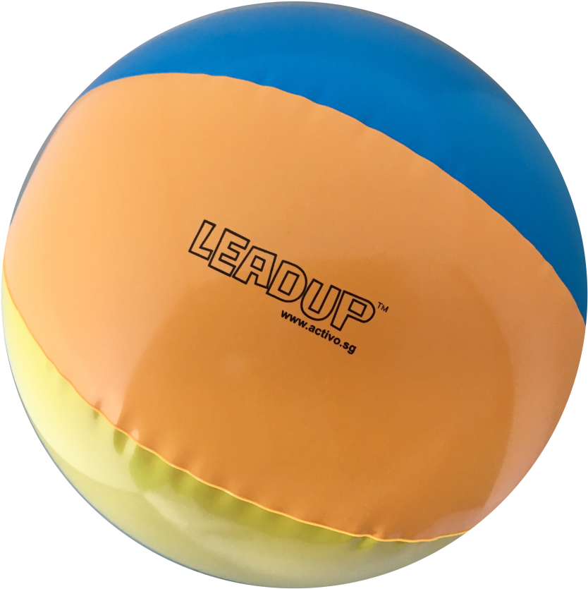 Download Deluxe Beach Ball - Water Volleyball PNG Image with No ...