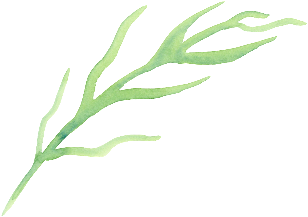 Download This Graphics Is Cartoon Transparent For Origami Seaweed ...
