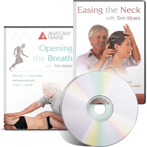 Download Opening The Breath & Easing The Neck Dvd - Cd PNG Image with No Background - PNGkey.com