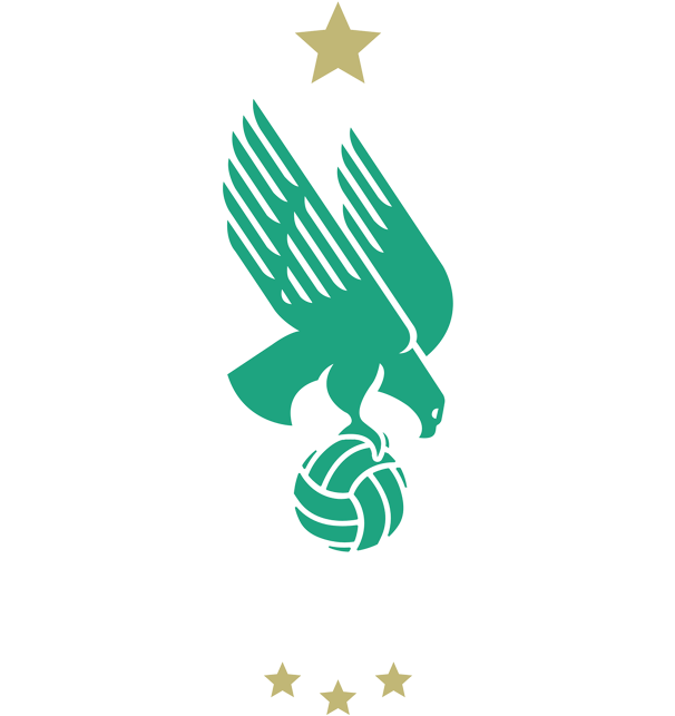 Raja Club Athletic - Raja Club Athletic Logo - Free Transparent PNG ...