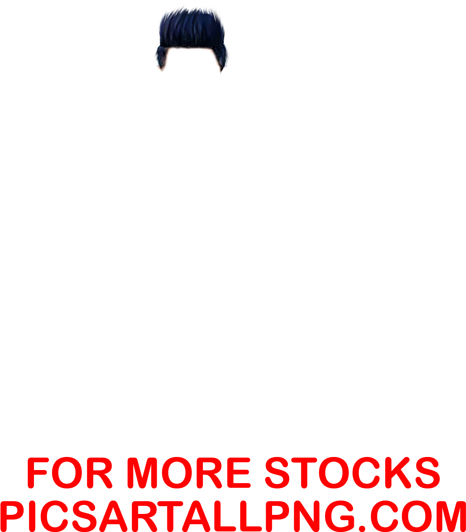 Download Tyty - Stallion PNG Image with No Background - PNGkey.com