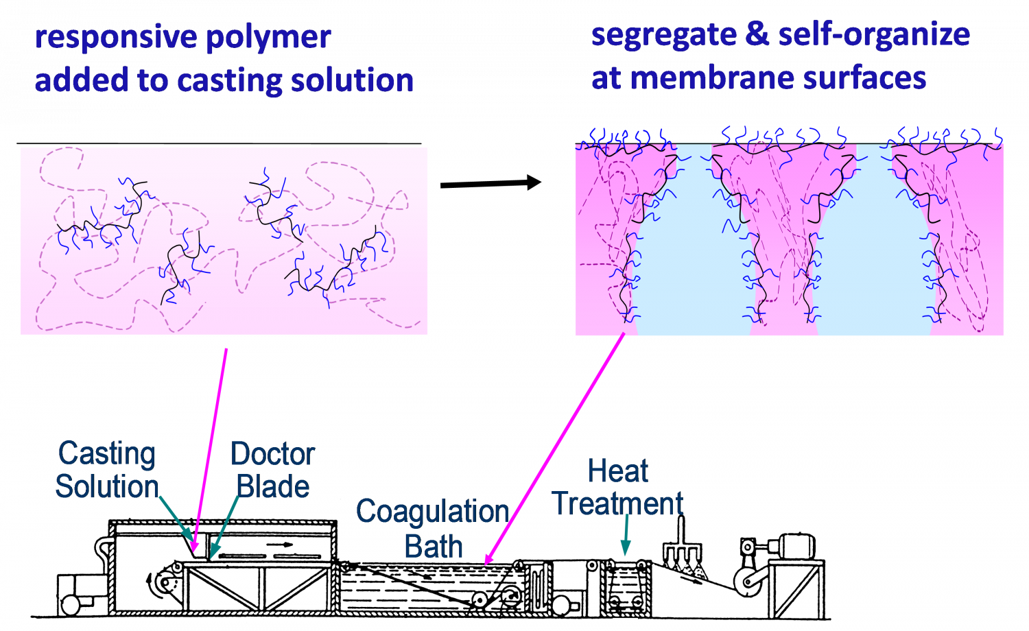 Download Non Solvent Induced Phase Separation Nips PNG Image with No ...