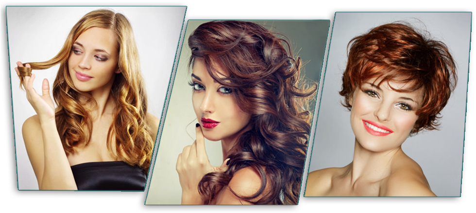 Hair Styles - Beauty Parlour Women Png - Free Transparent PNG Download ...