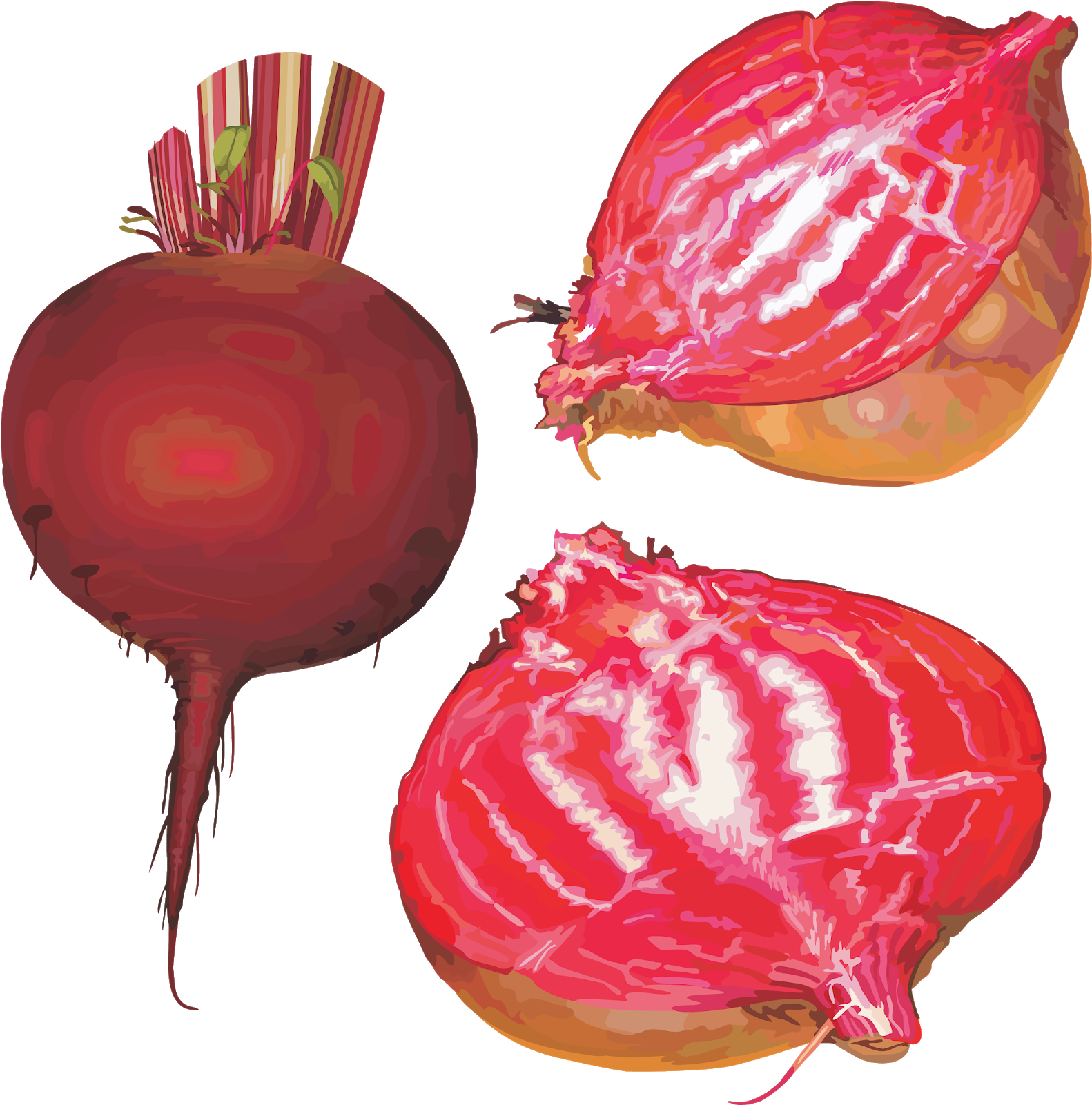 Download Red Beet Root Physical Material - Свекла Клипарт PNG Image ...