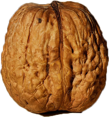 Download 600 X 600 2 - Pista Akhrot PNG Image with No Background ...