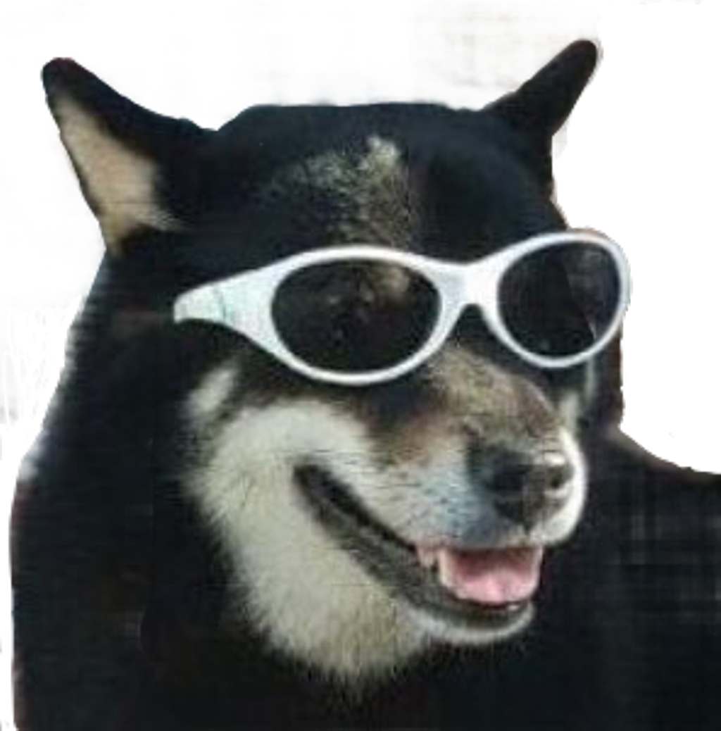 Download dog meme funny puppy sunglasses freetoedit Companion