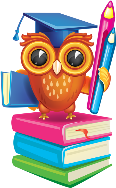 Download Buho Graduado Con Diploma Png PNG Image with No Background ...