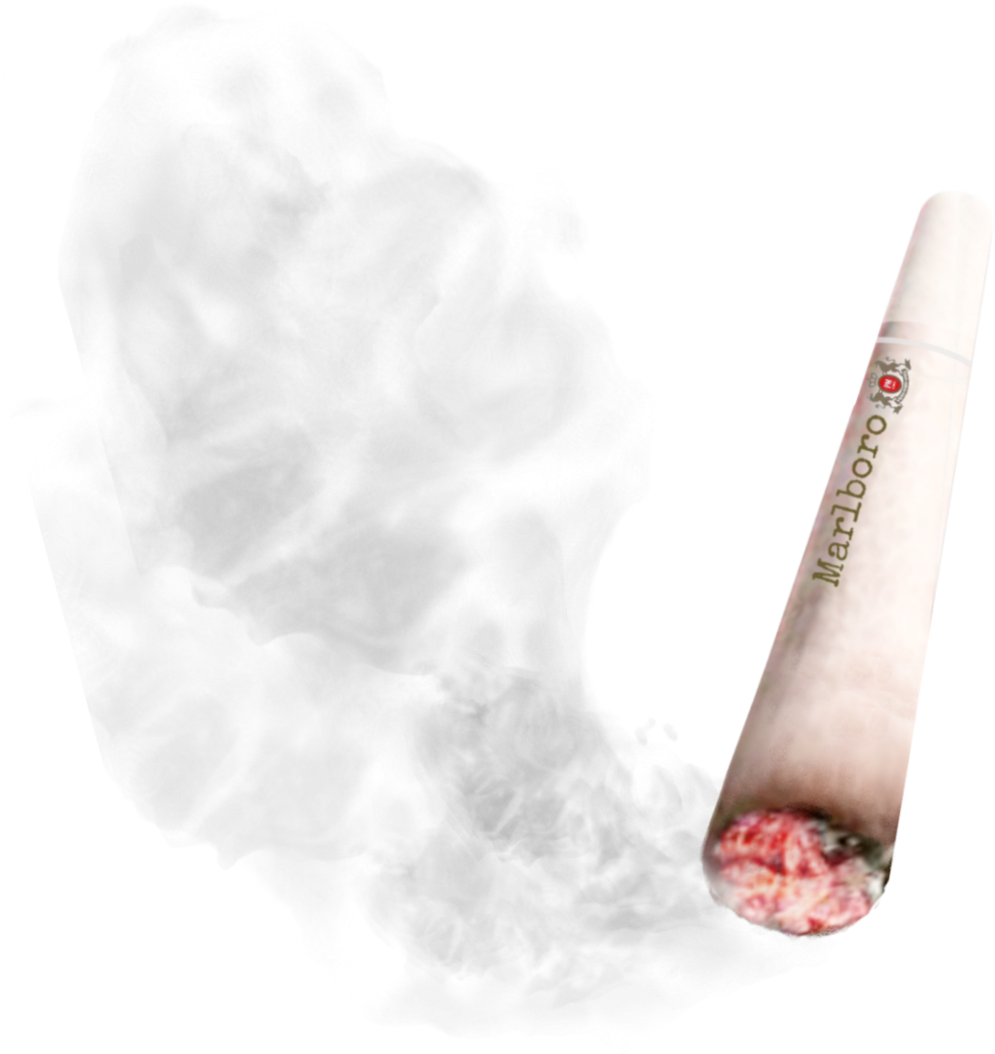 Sketch - Free Transparent PNG Download - PNGkey