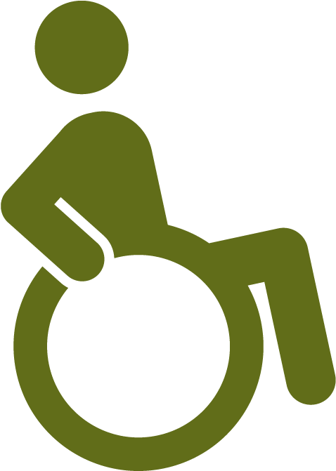 Download Accessibility Icon - Sign PNG Image with No Background ...
