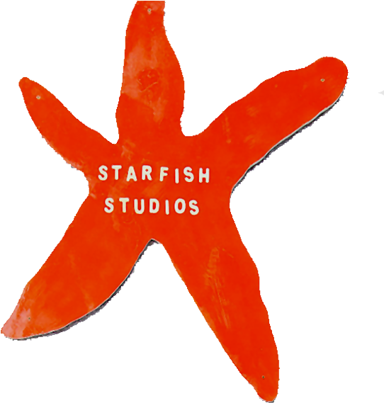 Download Starfish Youth Music - Starfish PNG Image with No Background ...