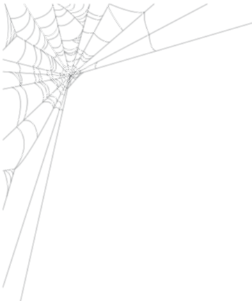Cob Web Png Png Royalty Free Library - Spider Web - Free Transparent ...